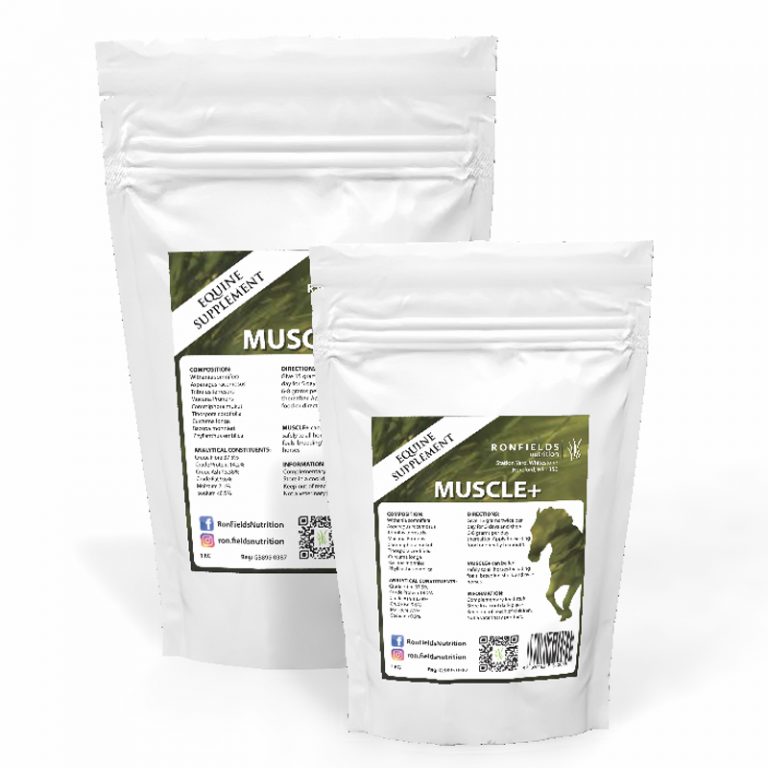 Equine Muscle Support Supplement | Muscle+